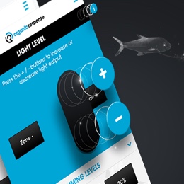 Magora’s case of development a cost-effective project software