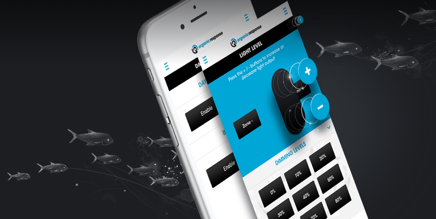 Magora's new development project: web portal and mobile apps